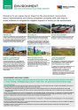 Gold posters - Mining for schools