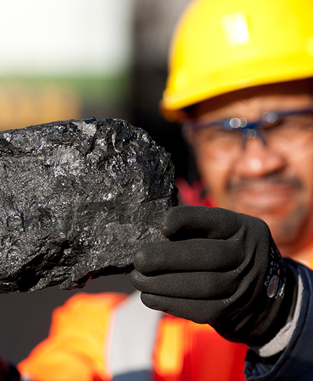What is coal? - Mining for schools